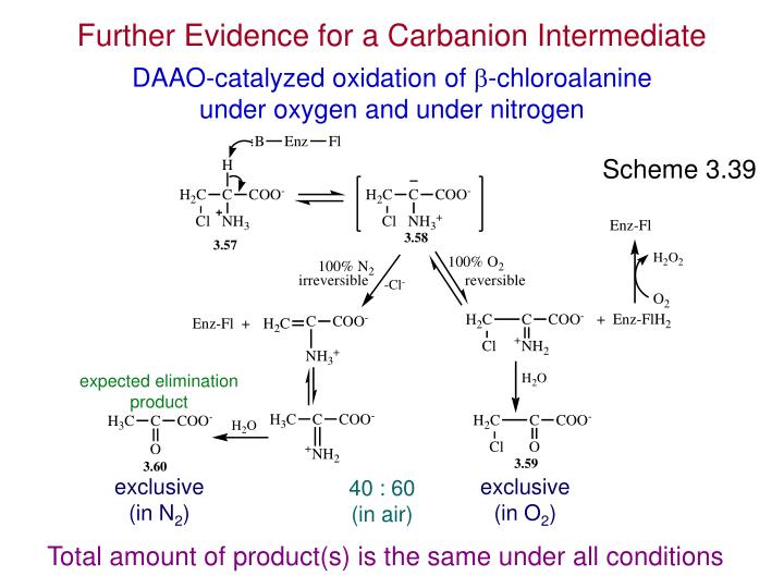 PPT - The Organic Chemistry of Enzyme-Catalyzed Reactions Chapter 3 ...