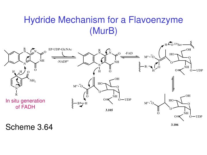 PPT - The Organic Chemistry of Enzyme-Catalyzed Reactions Chapter 3 ...