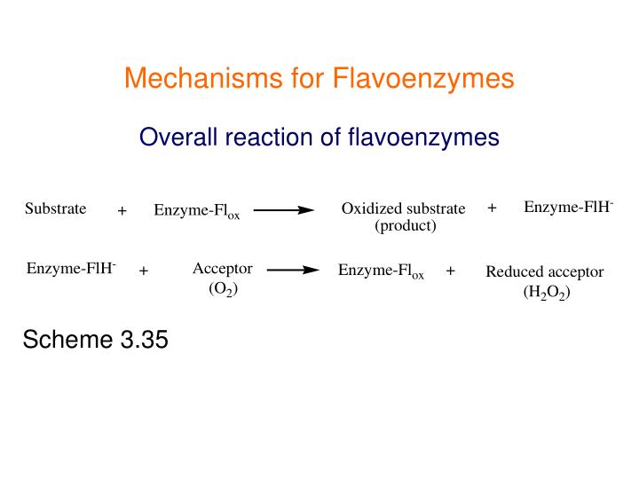 PPT - The Organic Chemistry of Enzyme-Catalyzed Reactions Chapter 3 ...