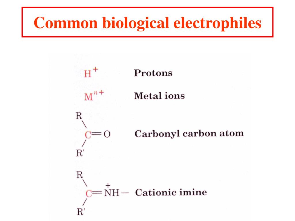 PPT - Metabolism II and Glycolysis 5/7/03 PowerPoint Presentation, free ...