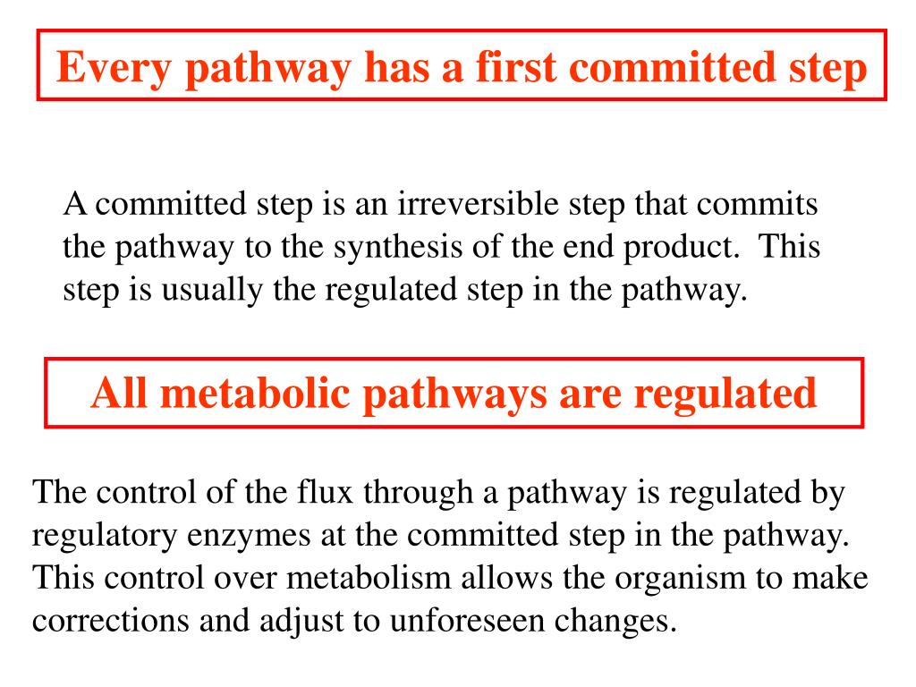 PPT - Metabolism II and Glycolysis 5/7/03 PowerPoint Presentation, free ...