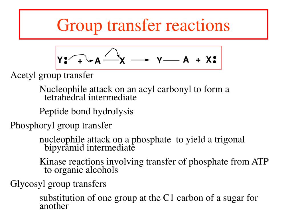 PPT - Metabolism II and Glycolysis 5/7/03 PowerPoint Presentation, free ...