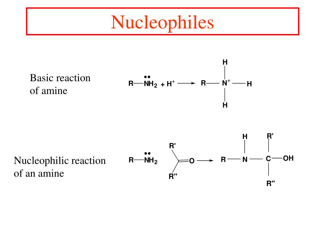 Nucleophile Examples