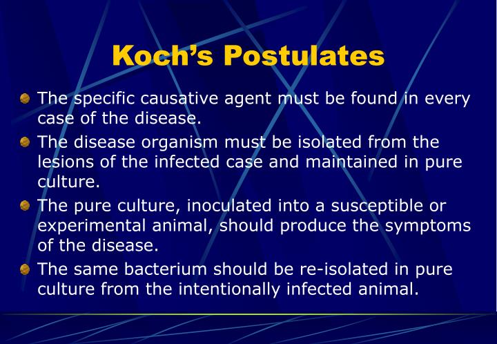 PPT - Introduction to Microbiology PowerPoint Presentation - ID:320509