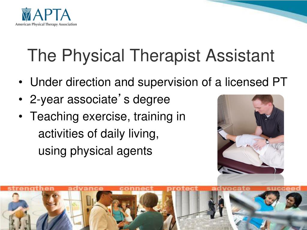 PPT - The Physical Therapy Profession and APTA PowerPoint Presentation ...