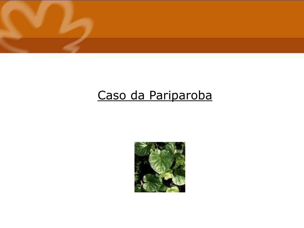 PPT - Repartição de Benefícios e o Caso da Pariparoba PowerPoint ...