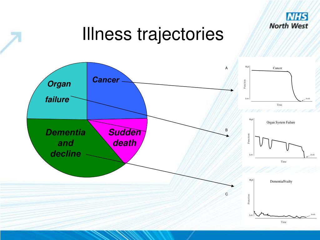 PPT - Kim Wrigley & Elaine Horgan PowerPoint Presentation, free ...