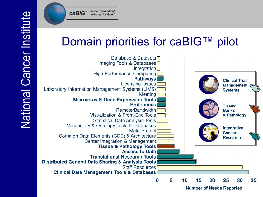 PPT - The caBIG™ Clinical Trials Management Systems Workspace John ...