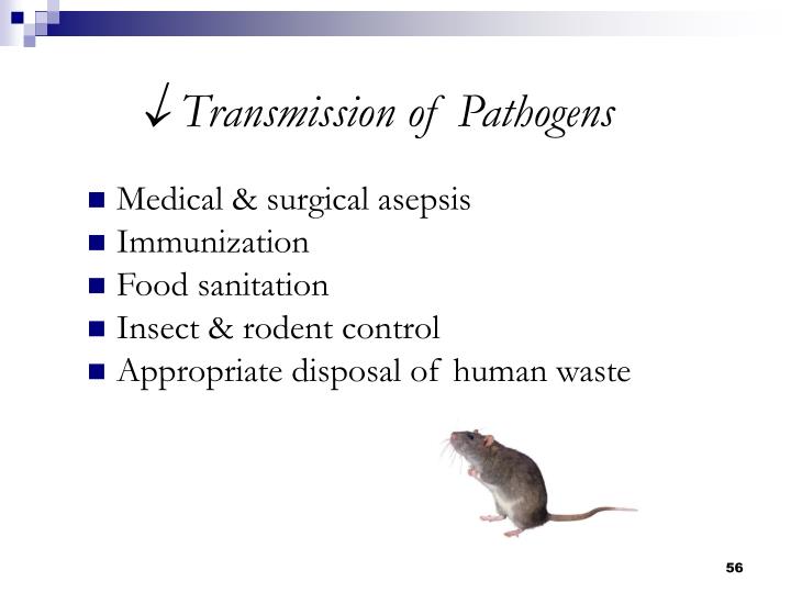 PPT - Community Health Nursing PowerPoint Presentation - ID:321941