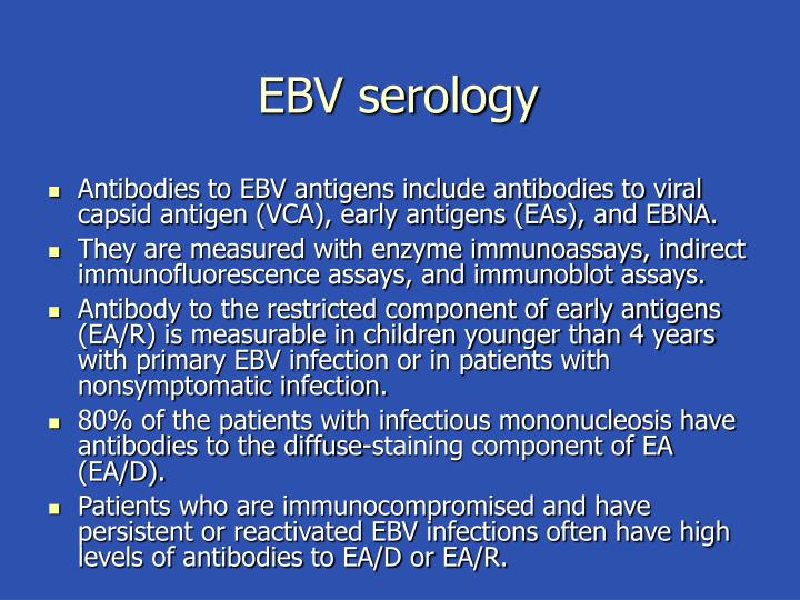 PPT - Epstein-Barr Virus (EBV) Erika Guevara, Elly Nagata and Bin Yang ...