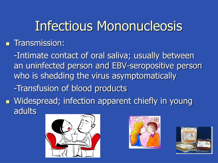 PPT - Epstein-Barr Virus (EBV) Erika Guevara, Elly Nagata and Bin Yang ...