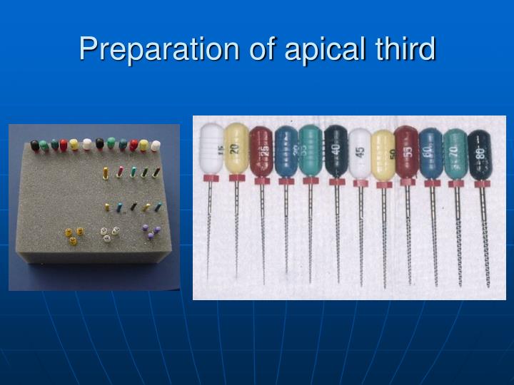 PPT - Cleaning and Shaping of the Root Canal System PowerPoint ...