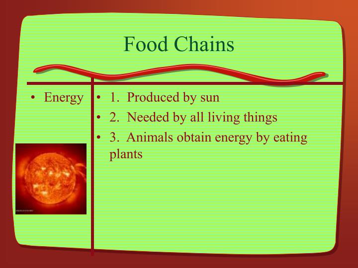 PPT - Food Chains and Energy Pyramids PowerPoint Presentation - ID:323436