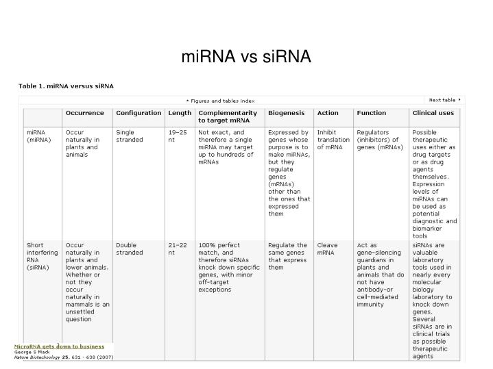PPT - miRNA Background & Bioinformatics PowerPoint Presentation - ID:323984