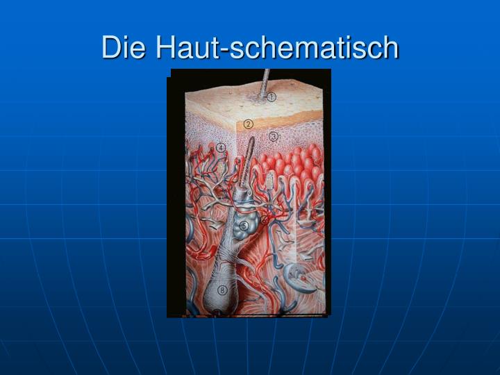 PPT - DERMATOLOGIE PowerPoint Presentation - ID:324340