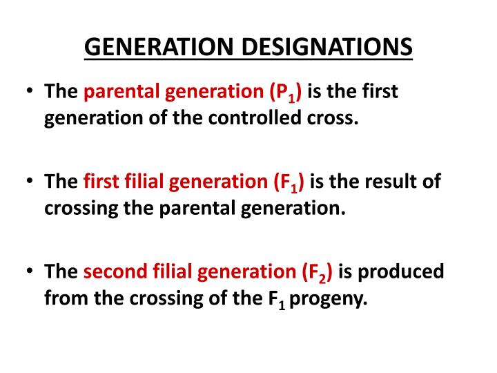 PPT - Genetic Inheritance Problems - Exercise 9 PowerPoint Presentation ...