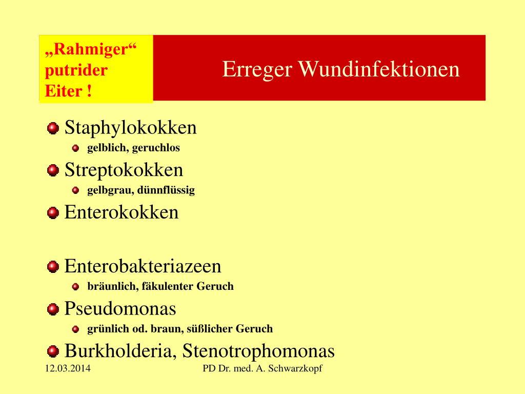 PPT - "Wundhygiene - Rechtliches und Praktisches" PowerPoint ...