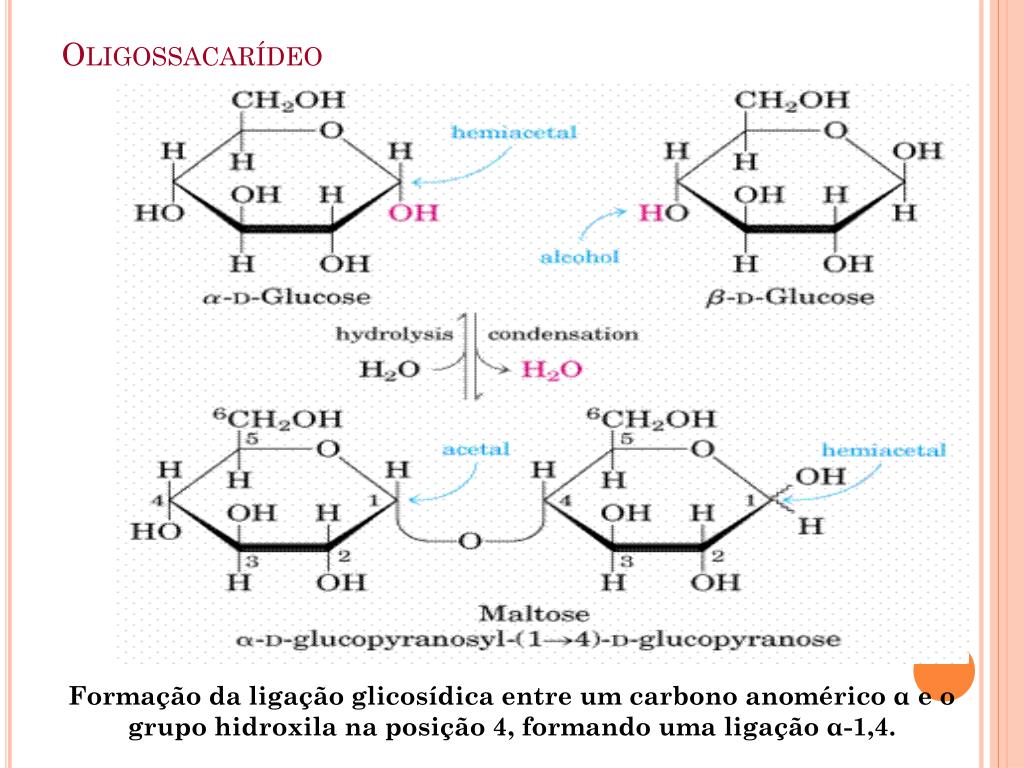 PPT - Análise Bromatológicas PowerPoint Presentation, free download ...