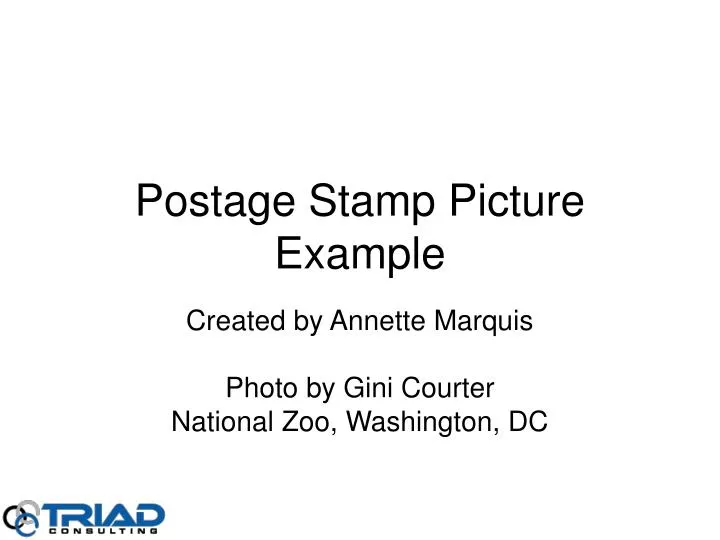 PPT - Postage Stamp Picture Example PowerPoint Presentation, free ...