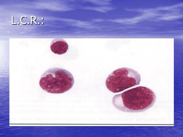 PPT - DIAGNÓSTICO DAS LEUCEMIAS PowerPoint Presentation - ID:326452