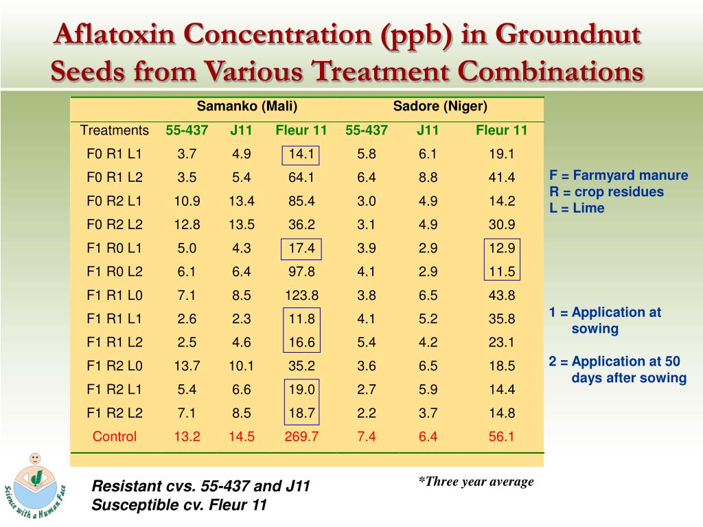 Ppt Pre And Postharvest Management Of Aflatoxin Contamination In