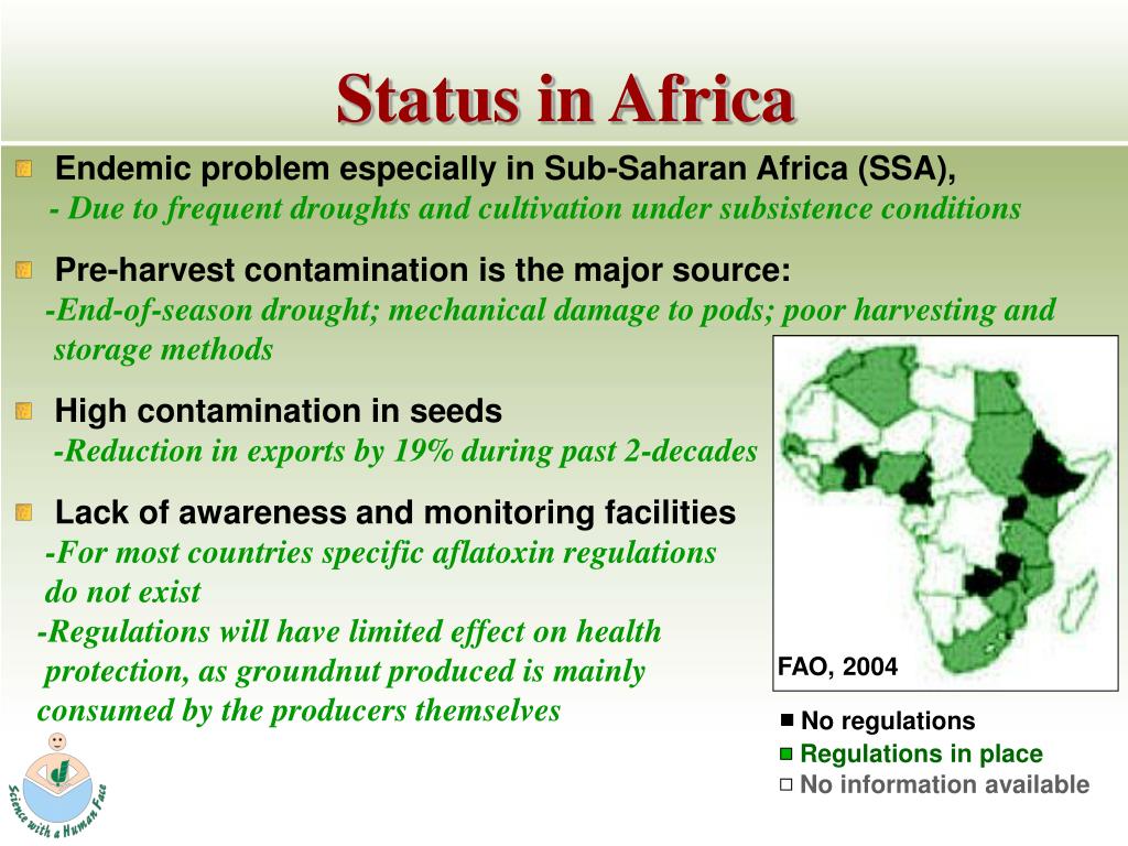 Ppt Pre And Postharvest Management Of Aflatoxin Contamination In