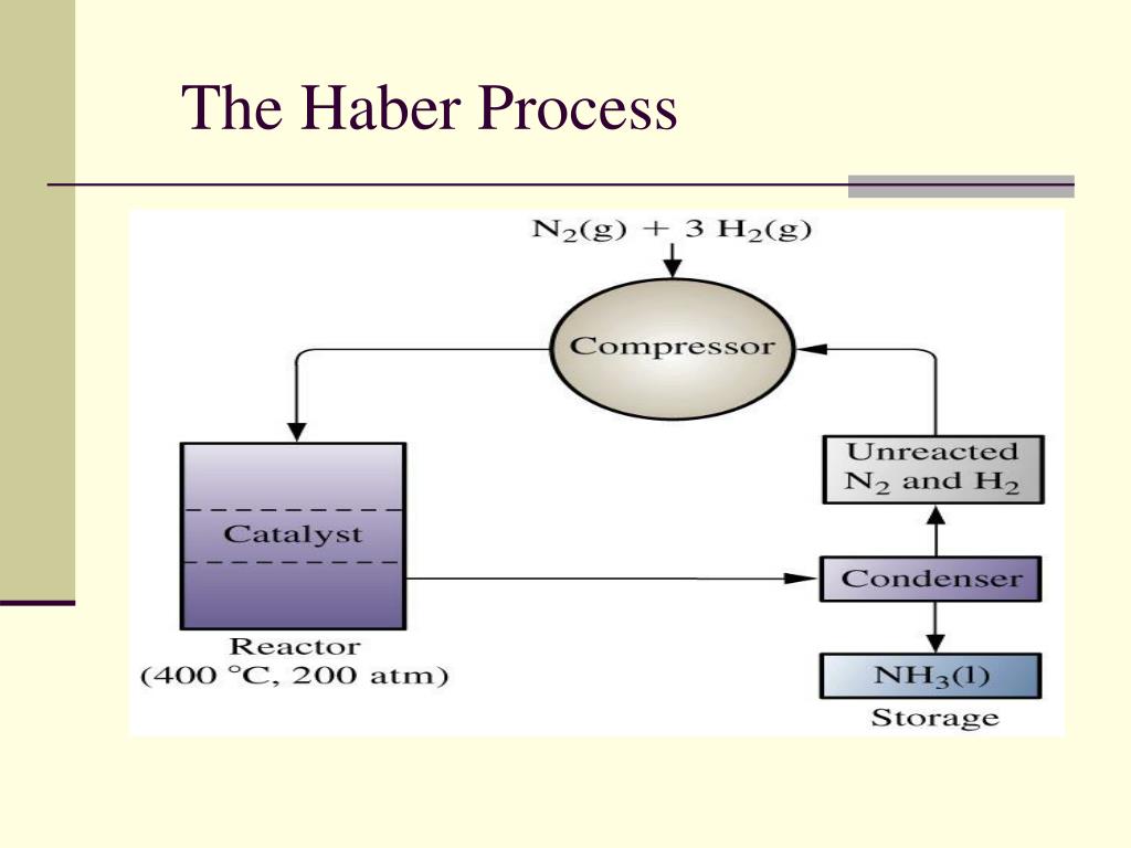 Ppt The Haber Process Powerpoint Presentation Free Download Id 328064