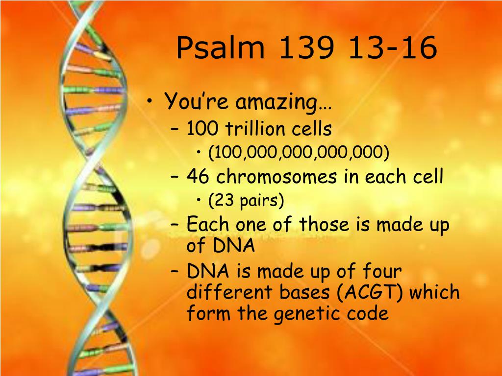 PPT - Psalm 139 PowerPoint Presentation, free download - ID:328560 PPT - Psalm 139 PowerPoint Presentation, free download - ID:328560