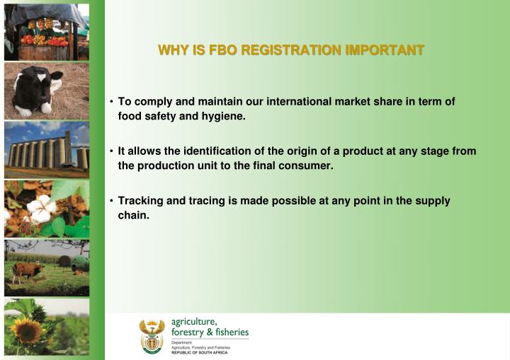 PPT - FOOD SAFETY AND FOOD HYGIENE PowerPoint Presentation - ID:328840