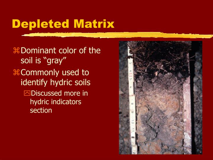 PPT - Objectives PowerPoint Presentation - ID:329441