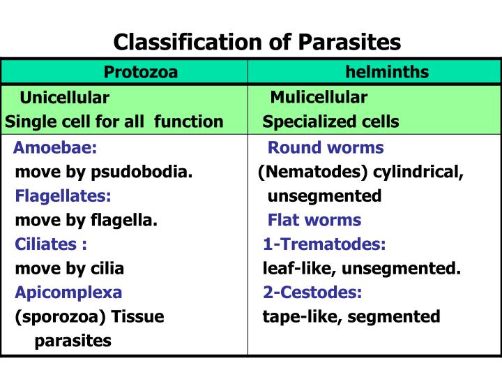 PPT - Classification of Parasites PowerPoint Presentation, free ...