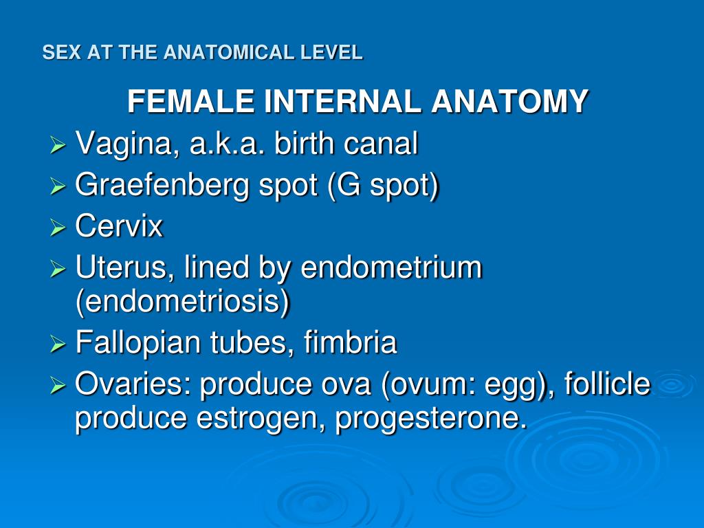 Ppt Sex At The Anatomical Level Powerpoint Presentation Free