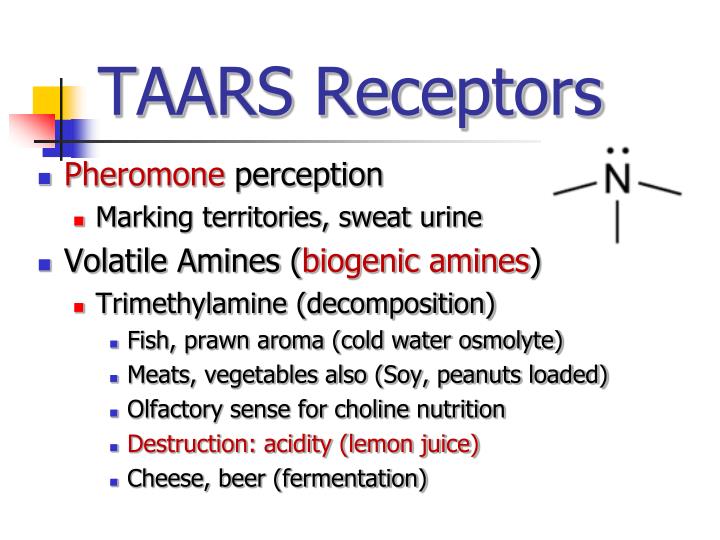 PPT - Sensory Physiology Approach to Developing Tasty & Healthy Foods ...