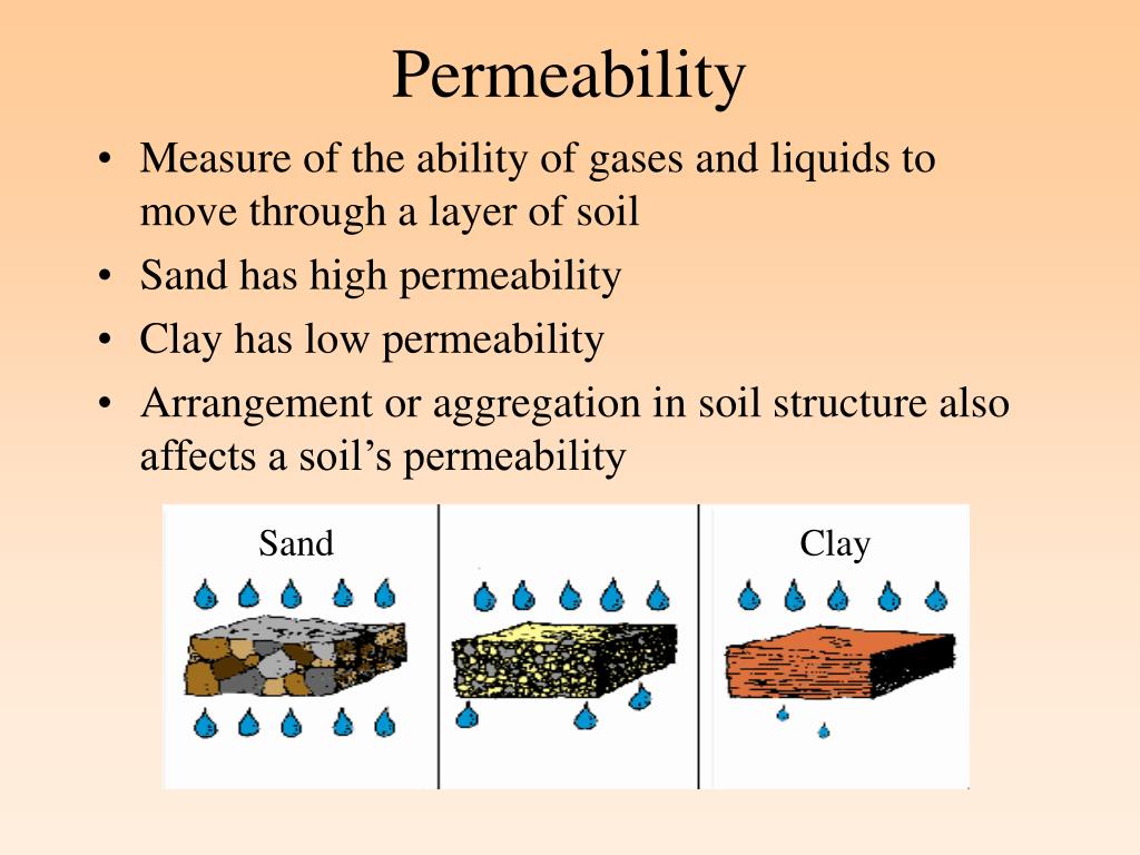 PPT - Formation, Chemistry, and Biology of Wetland Soils PowerPoint ... PPT - Formation, Chemistry, and Biology of Wetland Soils PowerPoint ...