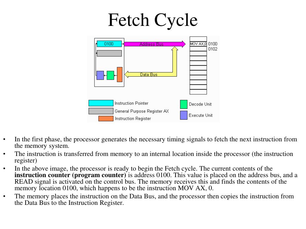 Ppt Computing Systems Organization Powerpoint Presentation Free