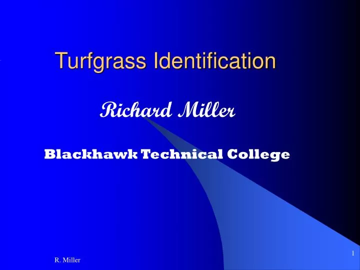PPT - Turfgrass Identification PowerPoint Presentation, free download ...