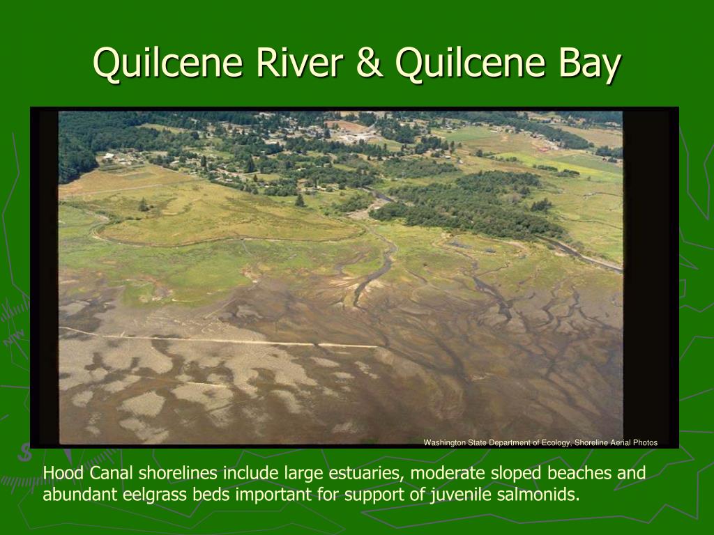 PPT - Hood Canal Jefferson County Flying for Fish Habitat Tours ...