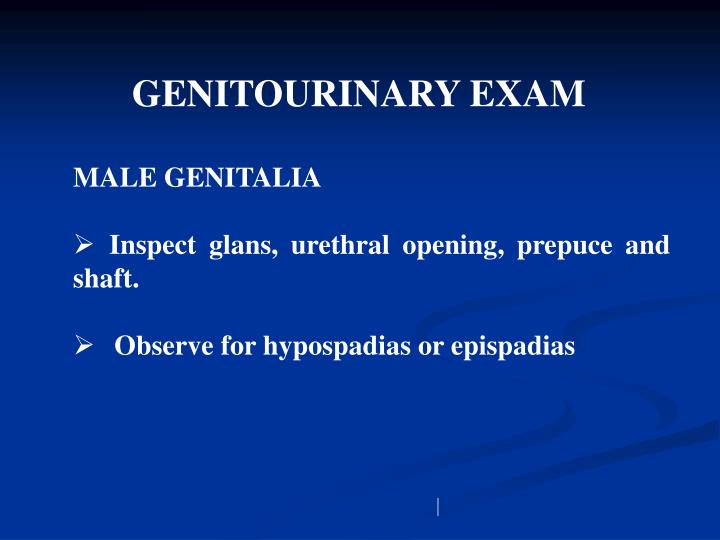 PPT - DETAILED PowerPoint Presentation - ID:331205