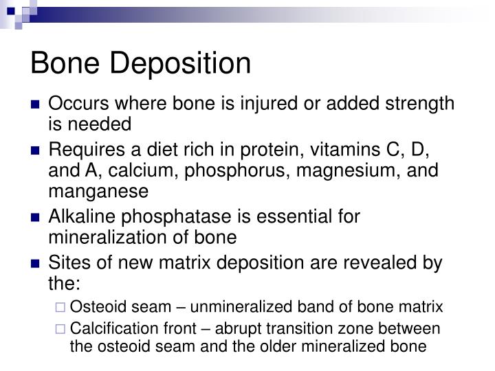 PPT - Lecture 6: Osseous Tissue and Bone Structure PowerPoint ...