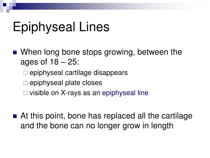 PPT - Lecture 6: Osseous Tissue and Bone Structure PowerPoint ...