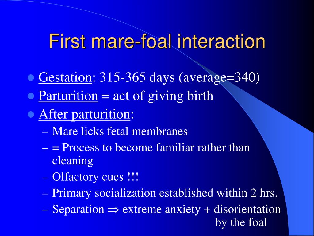 PPT - Parental Care PowerPoint Presentation, free download - ID:332152