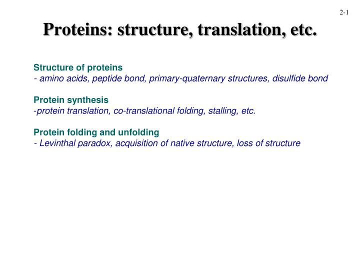PPT - Proteins: structure, translation, etc. PowerPoint Presentation ...