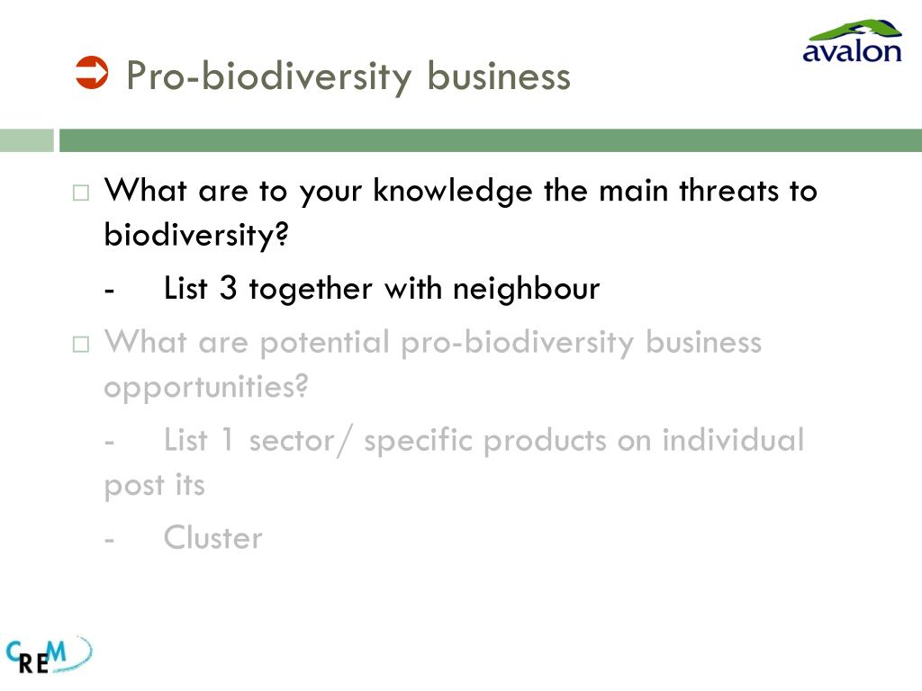 PPT - Biodiversity and Business workShop Opportunities for Pro ...