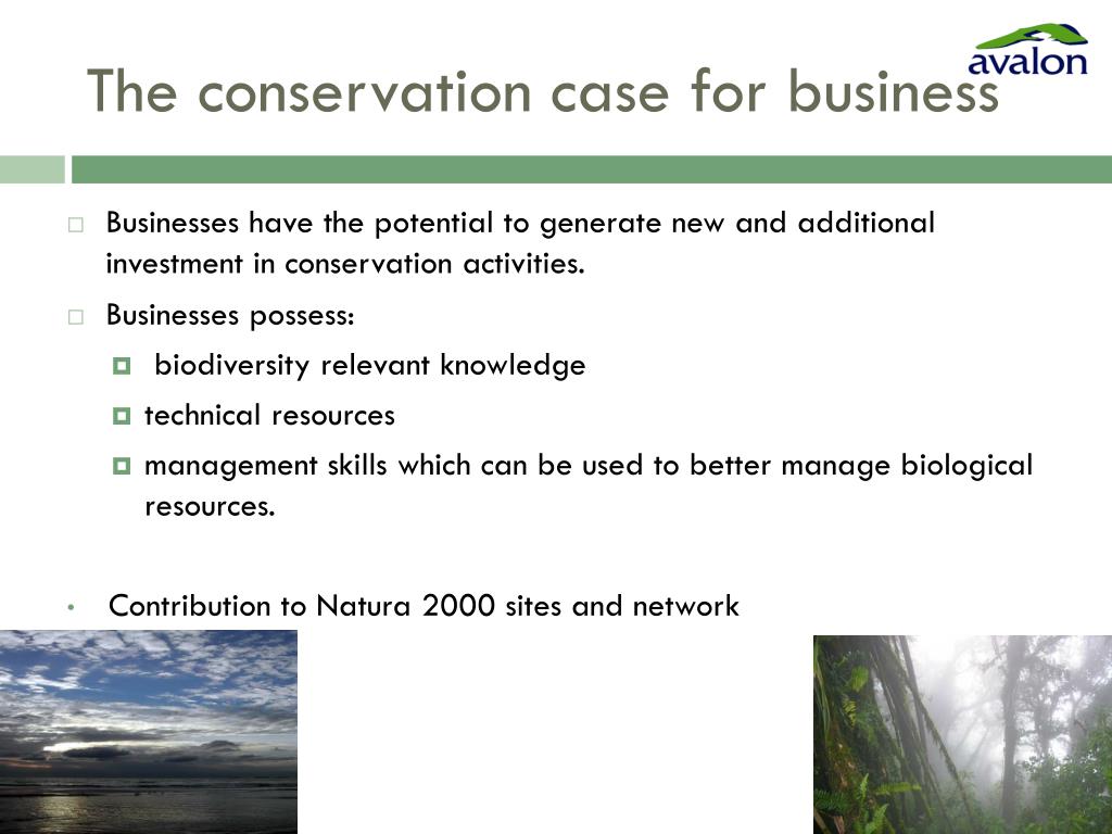 PPT - Biodiversity and Business workShop Opportunities for Pro ...