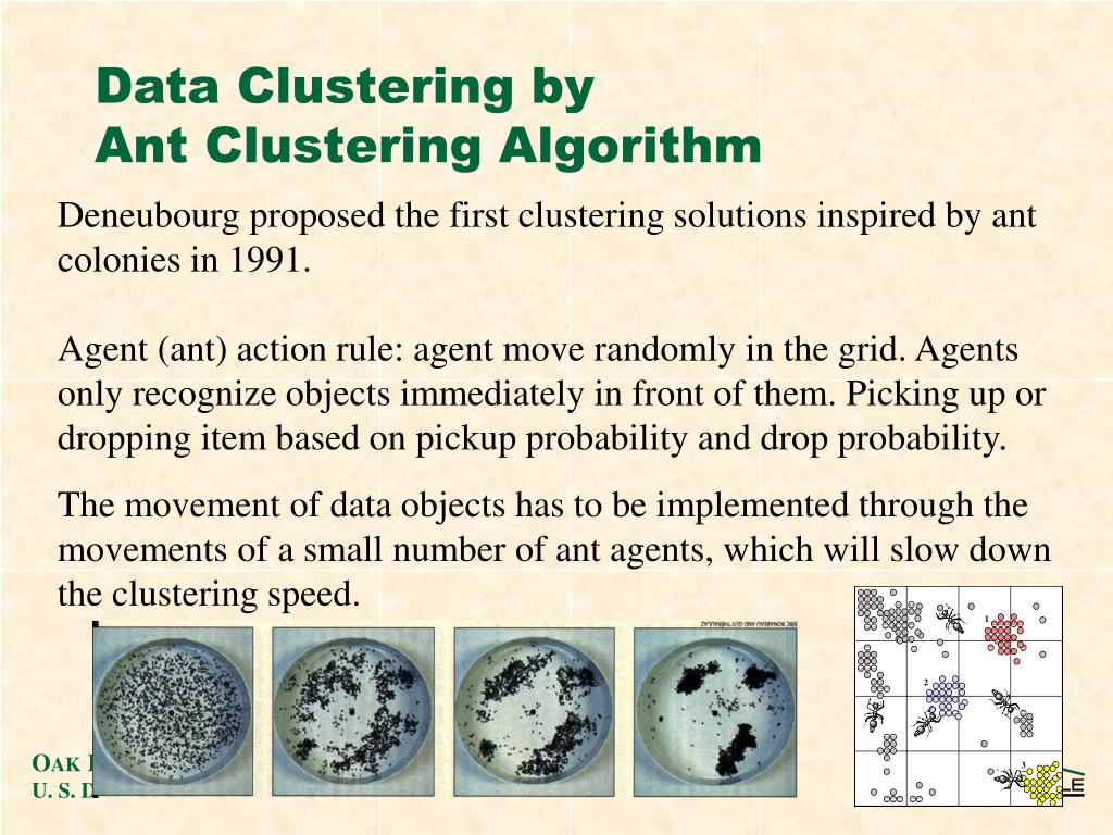 Ppt A Distributed Agent Implementation Of Multiple Species Flocking Model For Document 0680