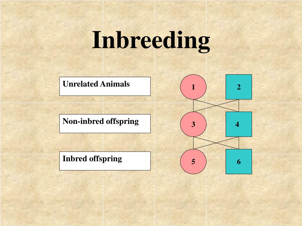 PPT - Managed Breeding for Conservation: Sustainability of Ex Situ ...