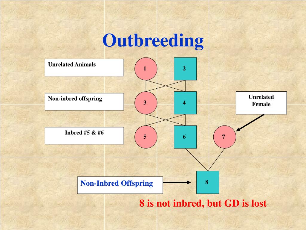 PPT - Managed Breeding for Conservation: Sustainability of Ex Situ ...