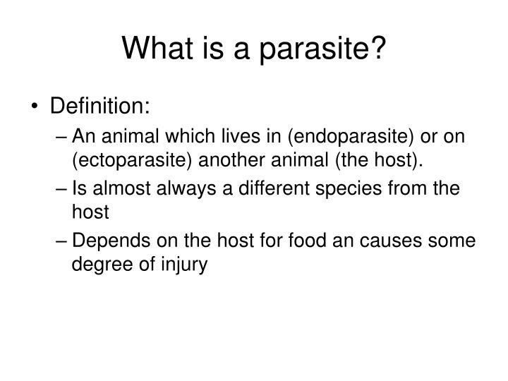PPT - Parasitology PowerPoint Presentation - ID:336590