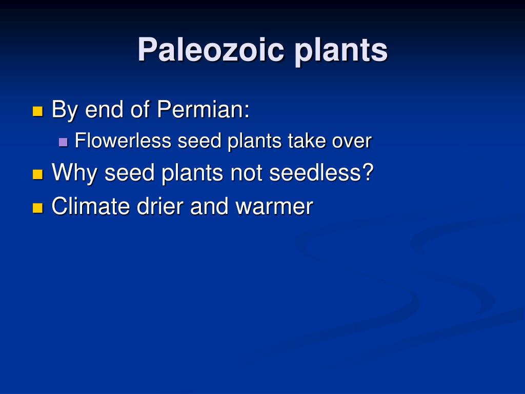 PPT - Paleozoic Vertebrates and Plants PowerPoint Presentation, free ...