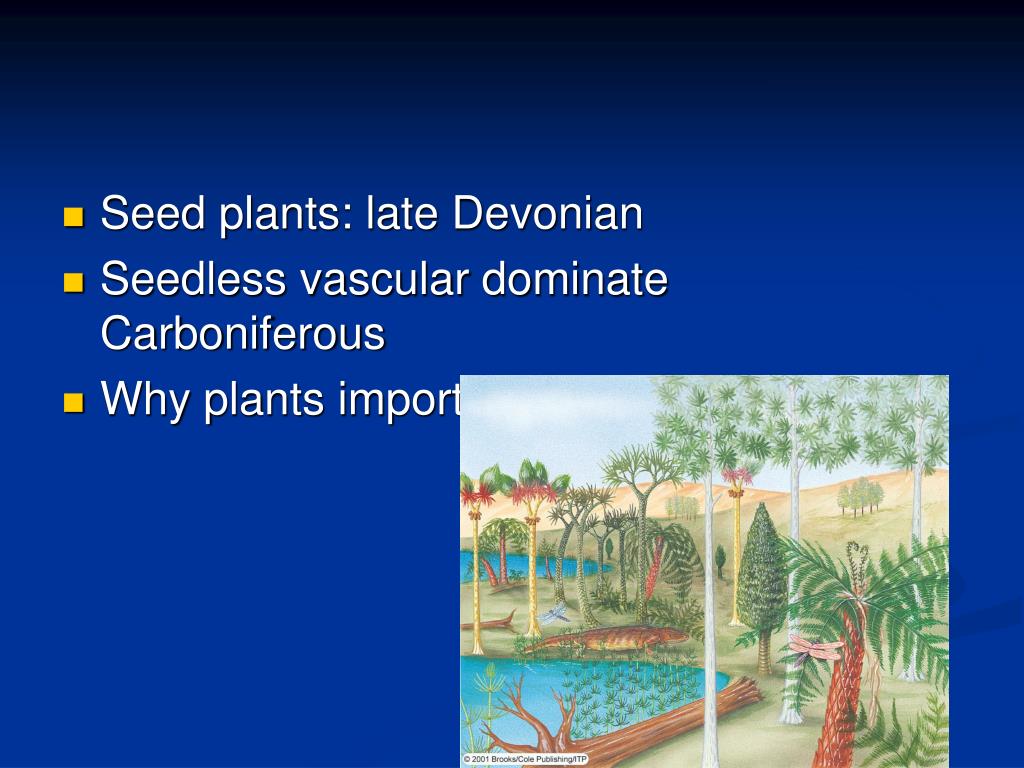 PPT - Paleozoic Vertebrates and Plants PowerPoint Presentation, free ...